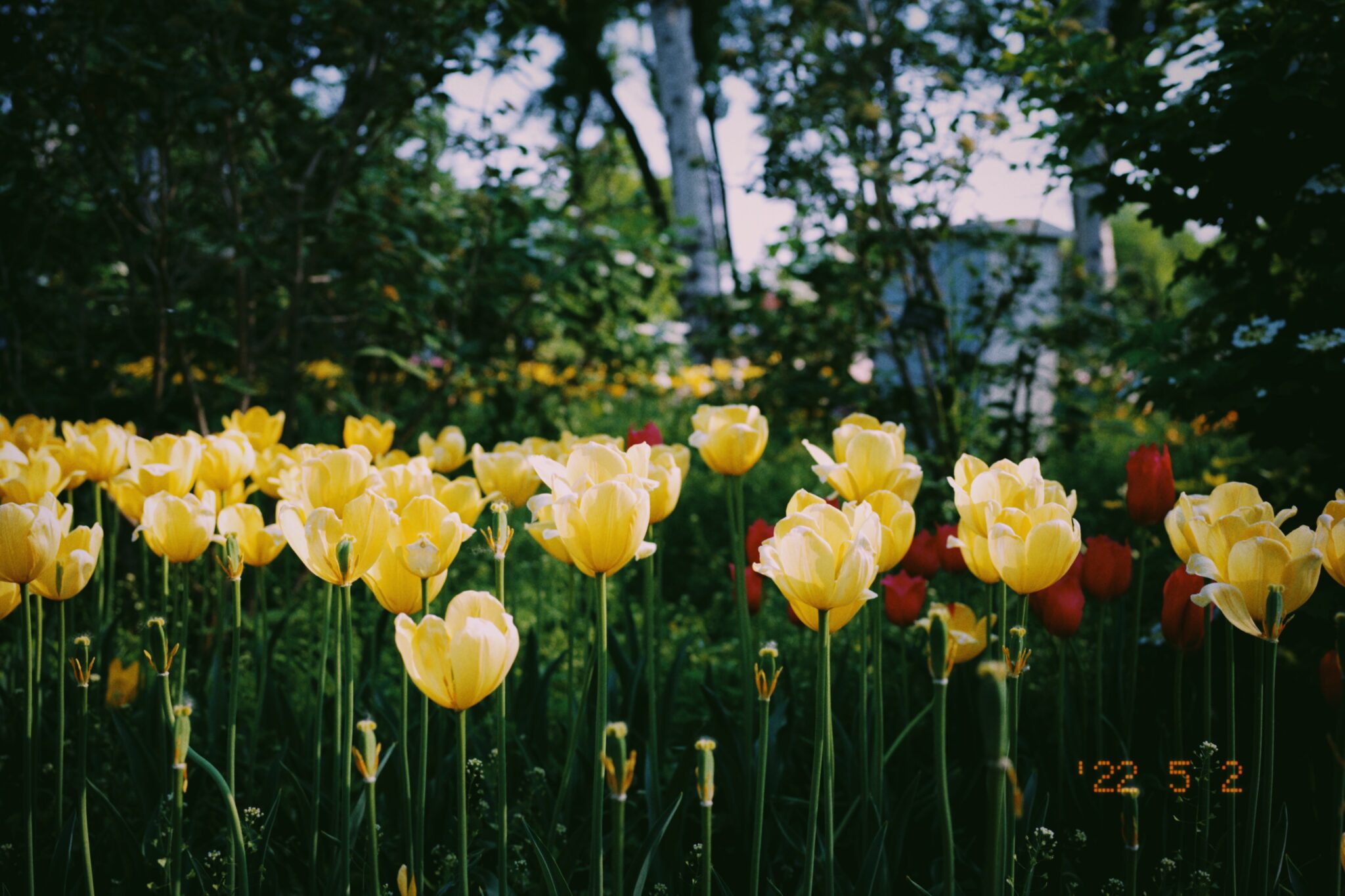 MacTalk-池建强的随想录 | 让创作成为一种生活方式